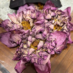 natural wellness with lotus flower tea