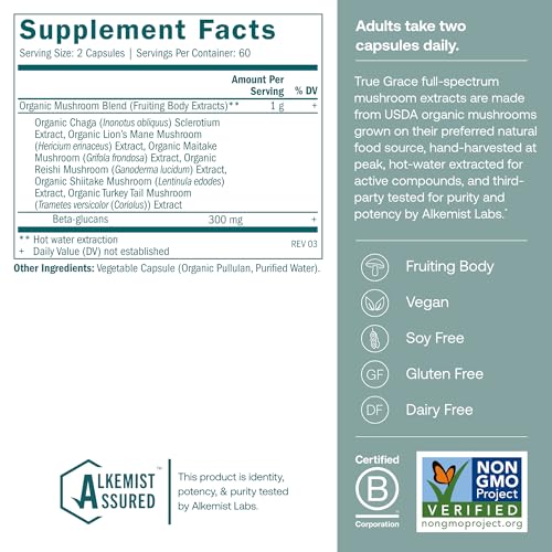 natural wellness with mushroom blend