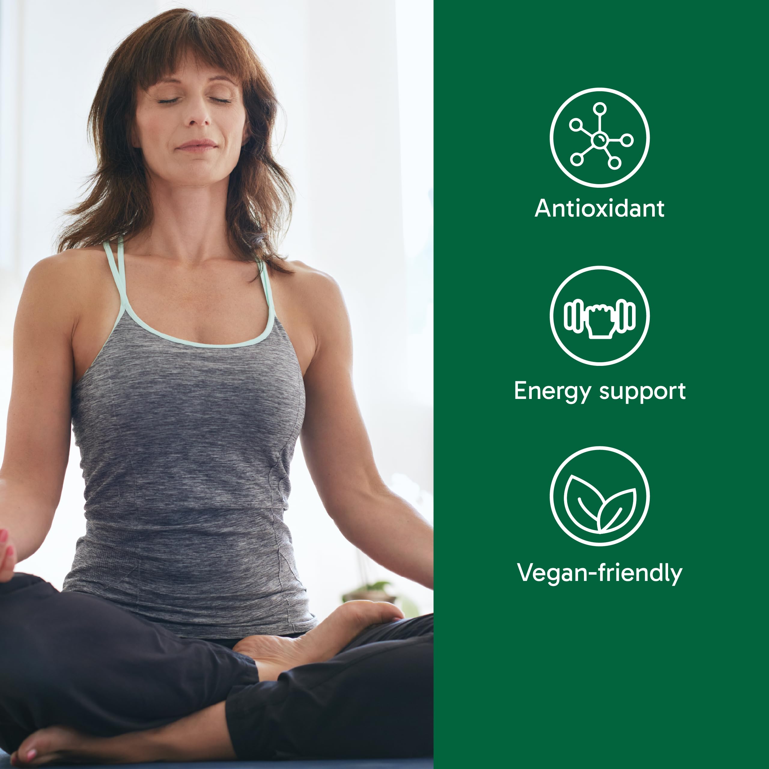 natural wellness with Reishi mushrooms