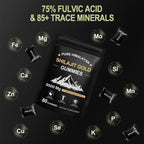 Natural wellness with Shilajit gummies