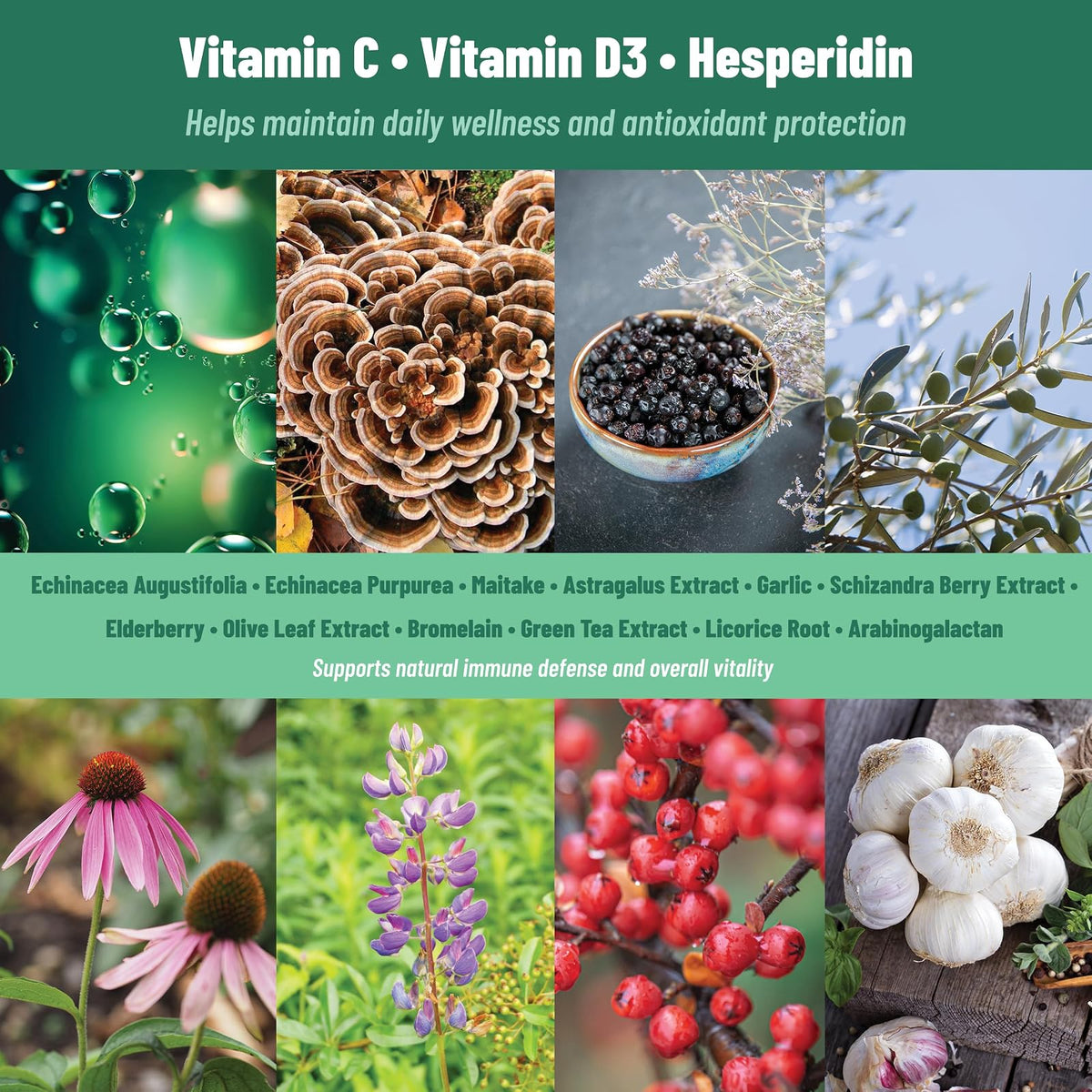 Natural wellness with TOLEVITA patches