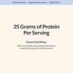 natural whey protein supplement