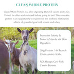 natural whey protein supplement