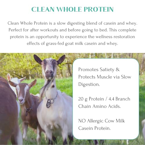 natural whey protein supplement