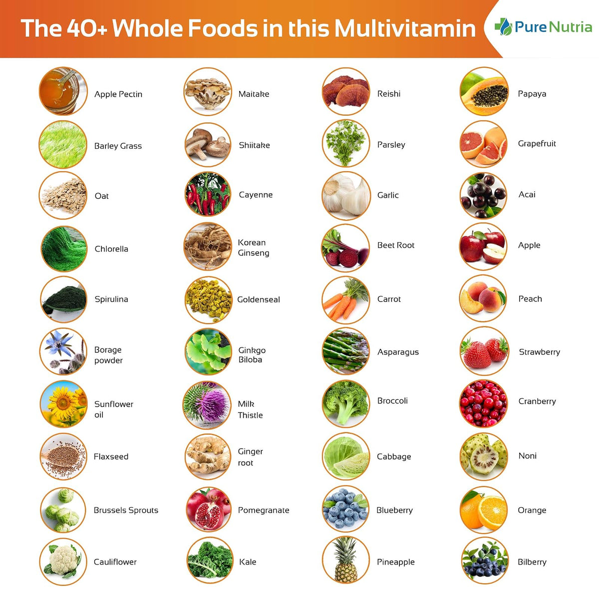 natural whole food multivitamin benefits