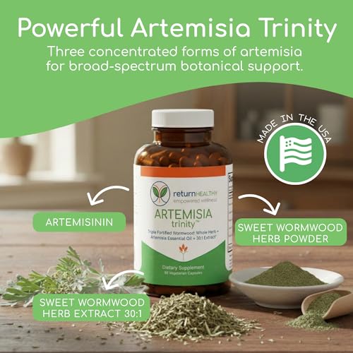 natural wormwood extract benefits