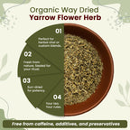 natural yarrow flower infusion