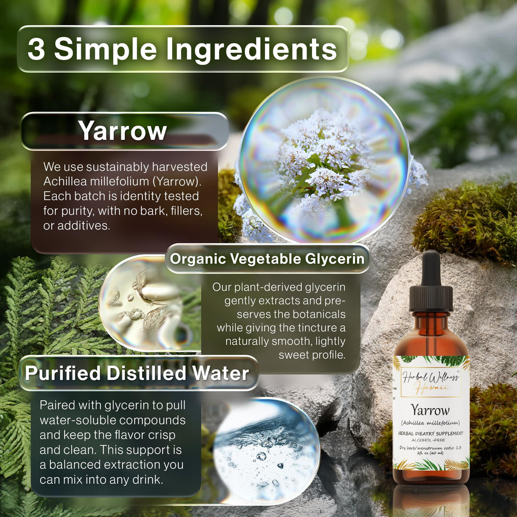 natural yarrow tincture for immune support