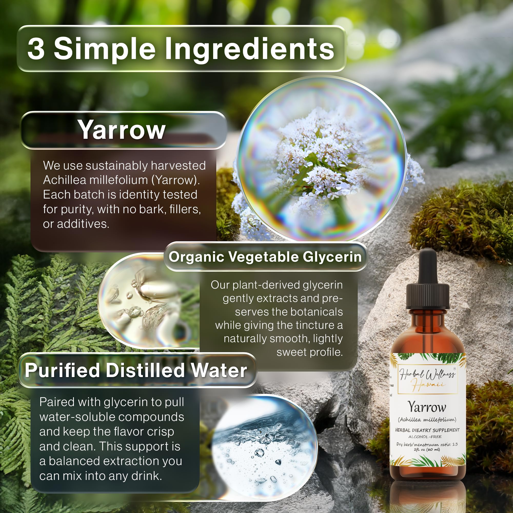natural yarrow tincture for immune support
