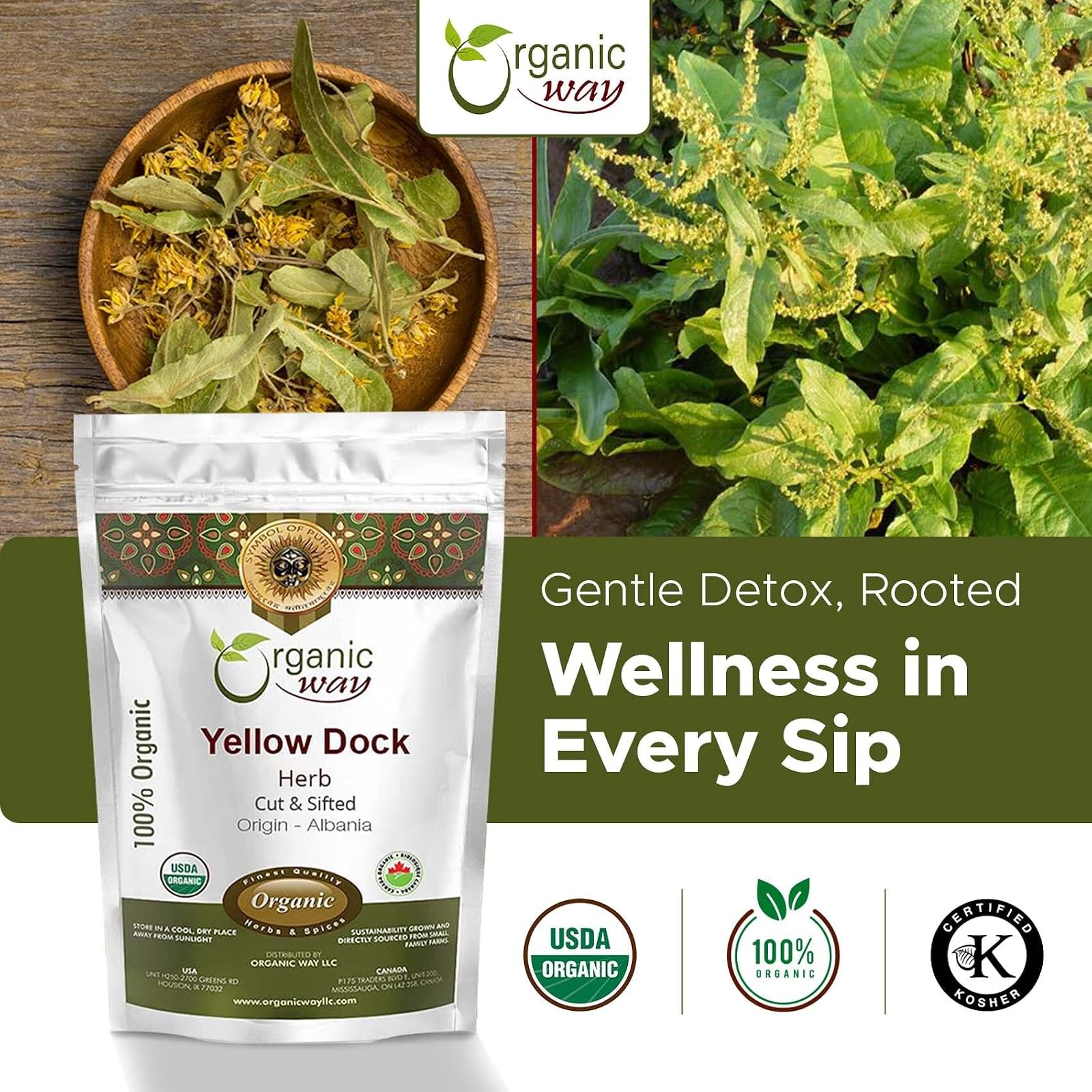 natural yellow dock tea for wellness