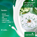 natural yogurt fermentation starter