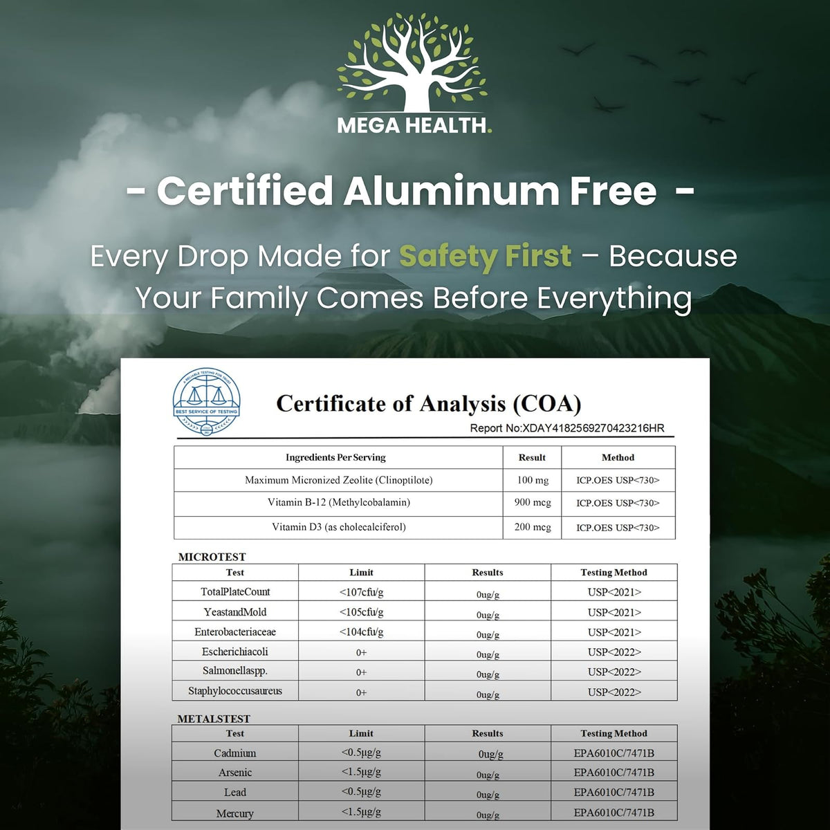 natural zeolite detox solution