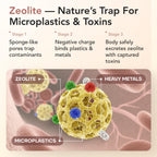 natural zeolite detox solution
