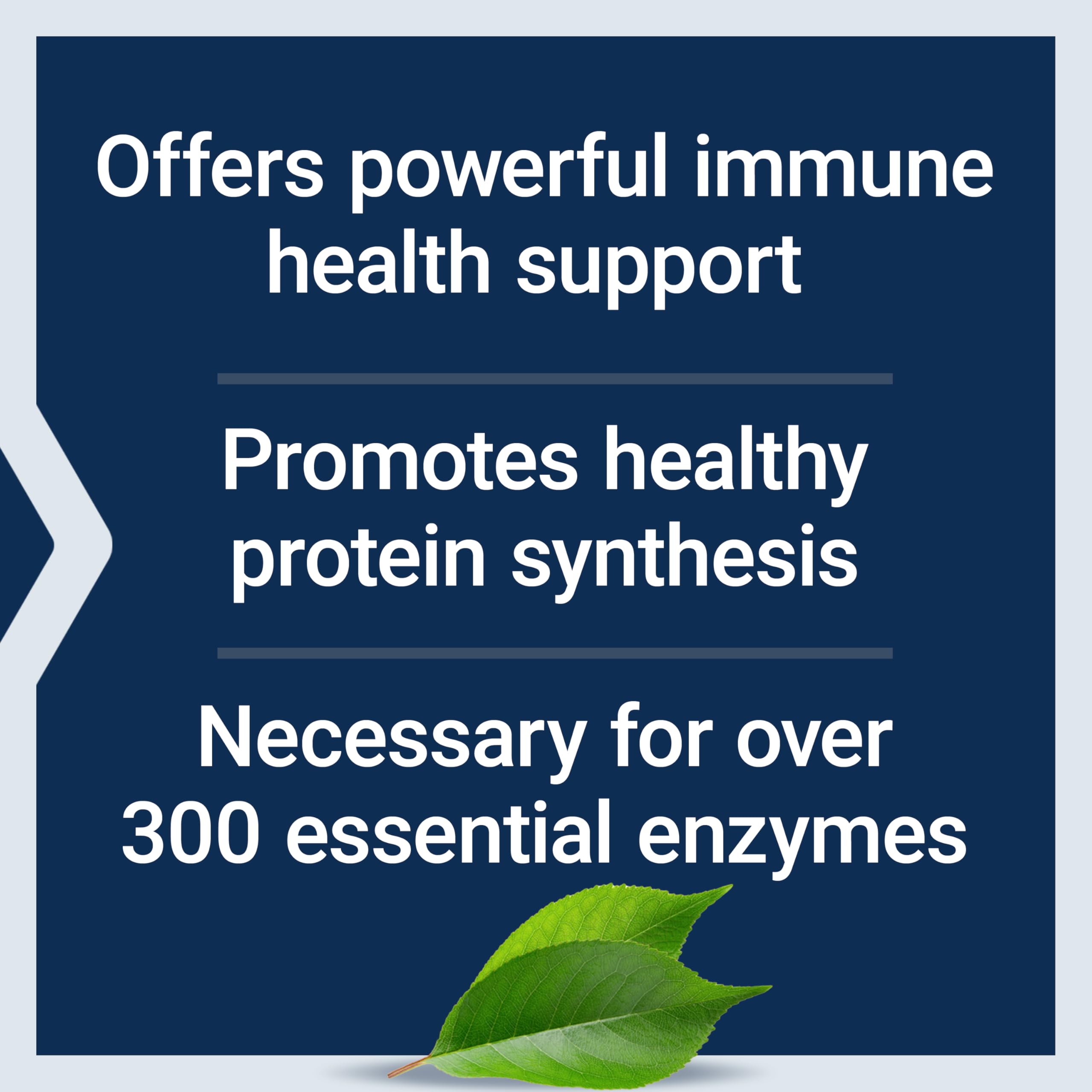 natural zinc for wellness
