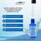 natural zinc supplement for immunity