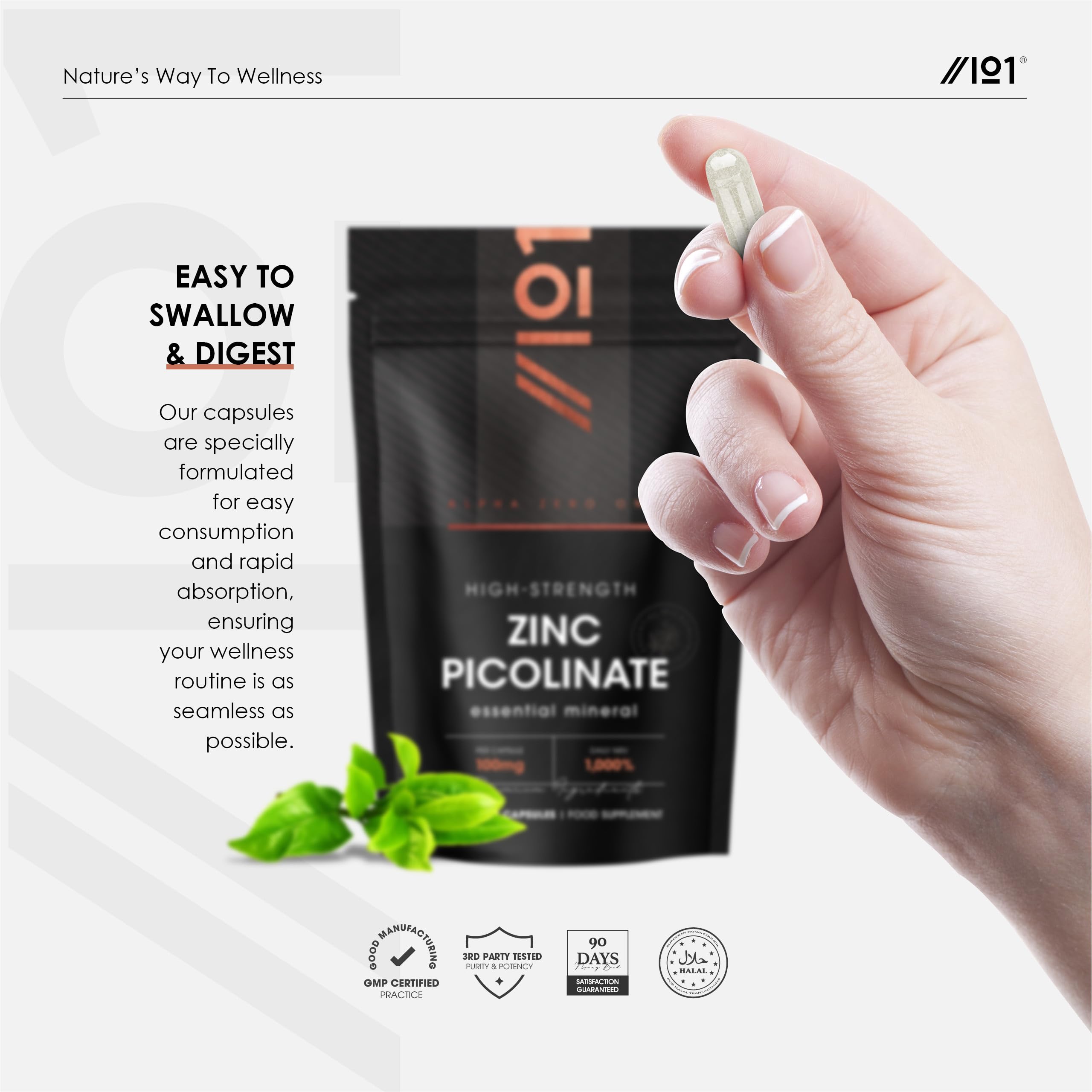 natural zinc supplement without additives
