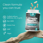 NaturaLife Labs capsules for digestion