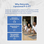 Naturalis B6 for nerve function support