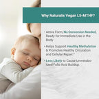 Naturalis folate for optimal brain function