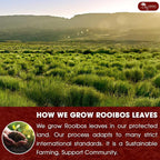 naturally sweet red rooibos herbal tea