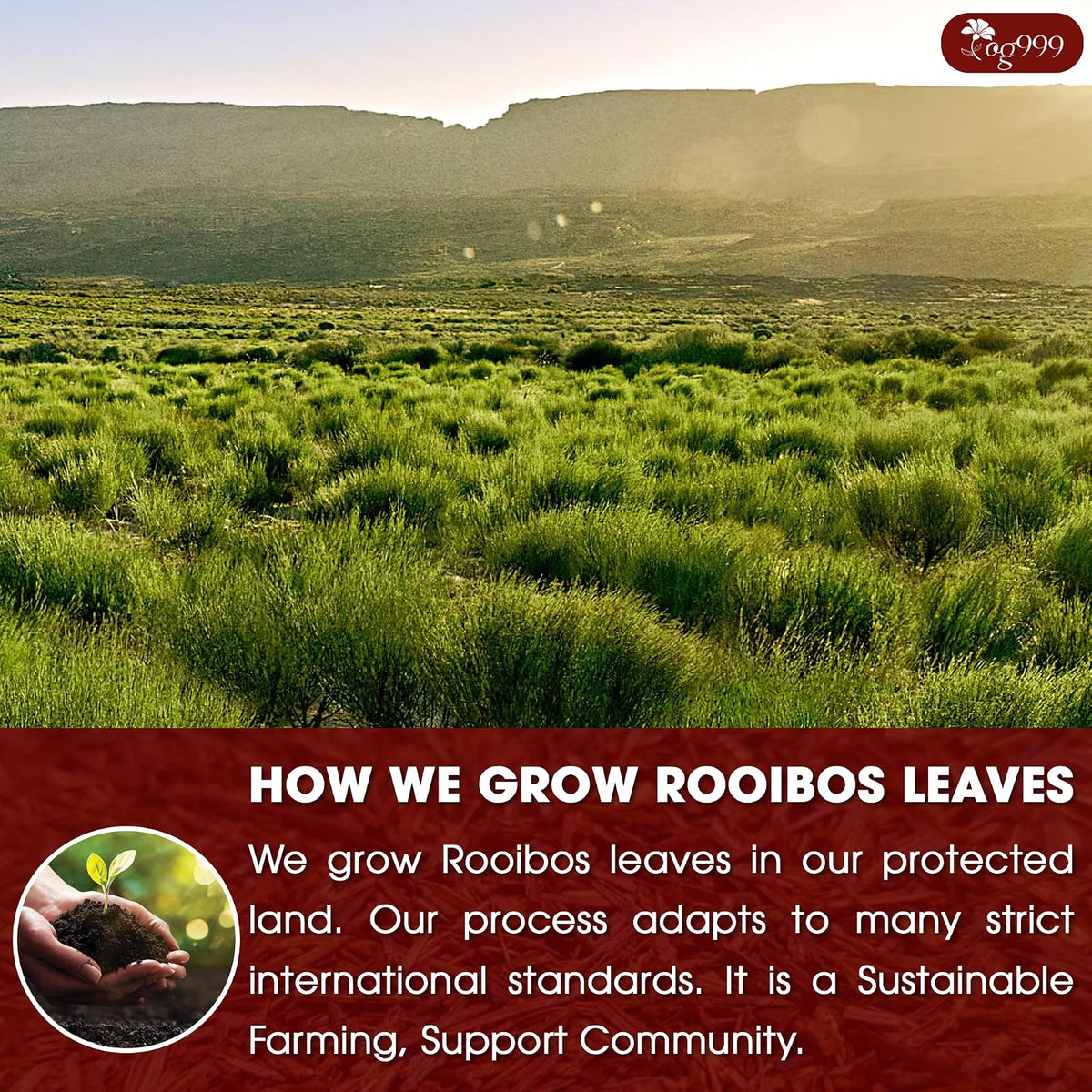 naturally sweet red rooibos herbal tea