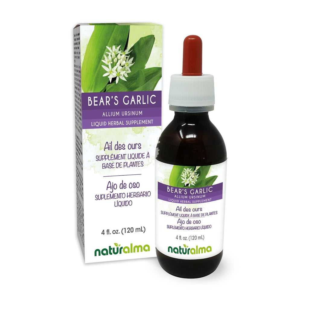 Naturalma Bear's Garlic tincture benefits