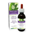 Naturalma Bear's Garlic tincture benefits