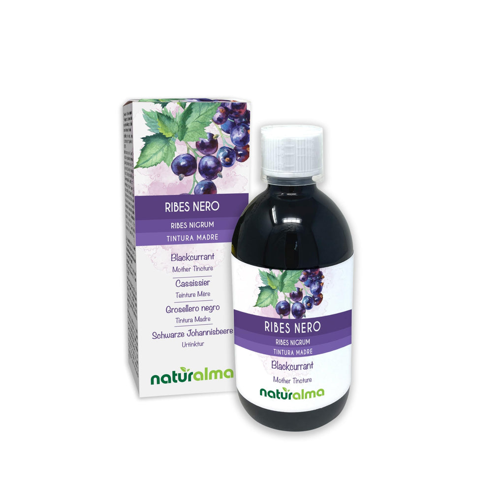Naturalma blackcurrant herbal extract