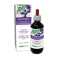 Naturalma Blackcurrant herbal tincture drops