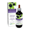 Naturalma Eleuthero liquid extract benefits