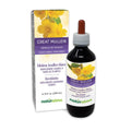 Naturalma Great Mullein herbal tincture