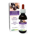 Naturalma guarana seed tincture benefits