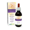 Naturalma Lion's Mane mushroom tincture benefits