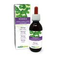 Naturalma Moringa leaf tincture benefits