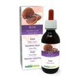 Naturalma Reishi mushroom tincture benefits