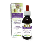 Naturalma Wild Teasel Root extract