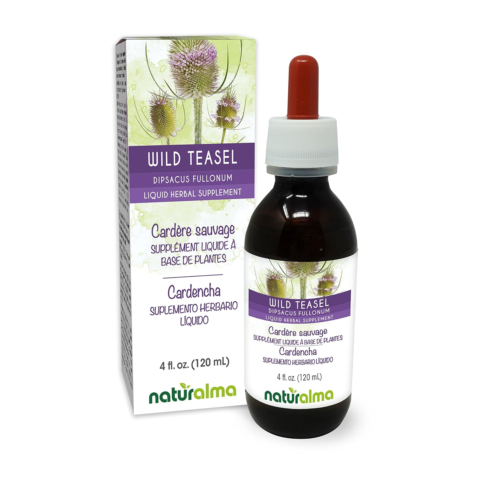 Naturalma Wild Teasel Root extract