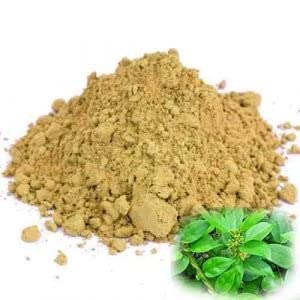 naturals gurmar powder natural sweetener alternative