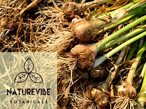 nature-based garlic supplement for vitality