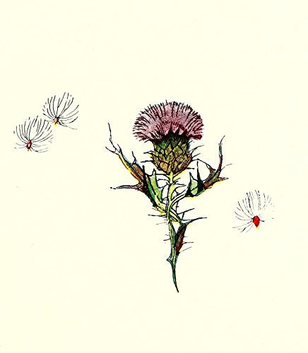 nature-inspired home decor print