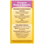 Nature Made prenatal vitamins for healthy pregnancy