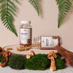 Nature Restore mushroom supplement benefits
