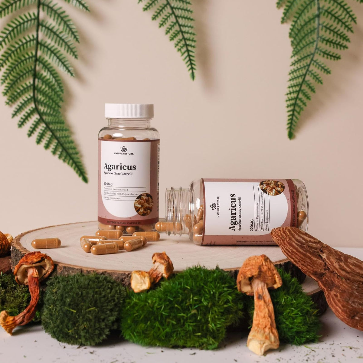 Nature Restore mushroom supplement benefits