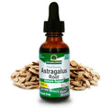 nature's answer astragalus root benefits