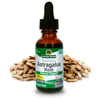 nature's answer astragalus root benefits
