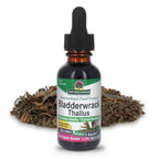 Nature's Answer Bladderwrack Thallus benefits