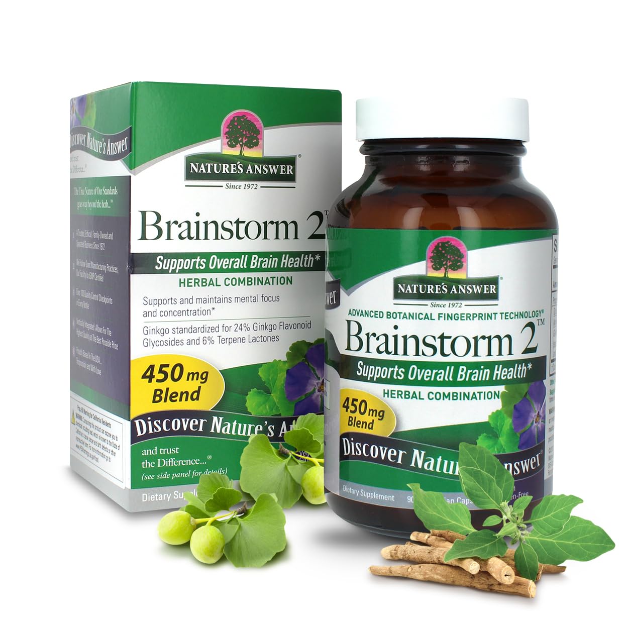 Nature's Answer Brainstorm vegetarian capsules