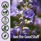 Nature's Answer chasteberry for mood enhancement