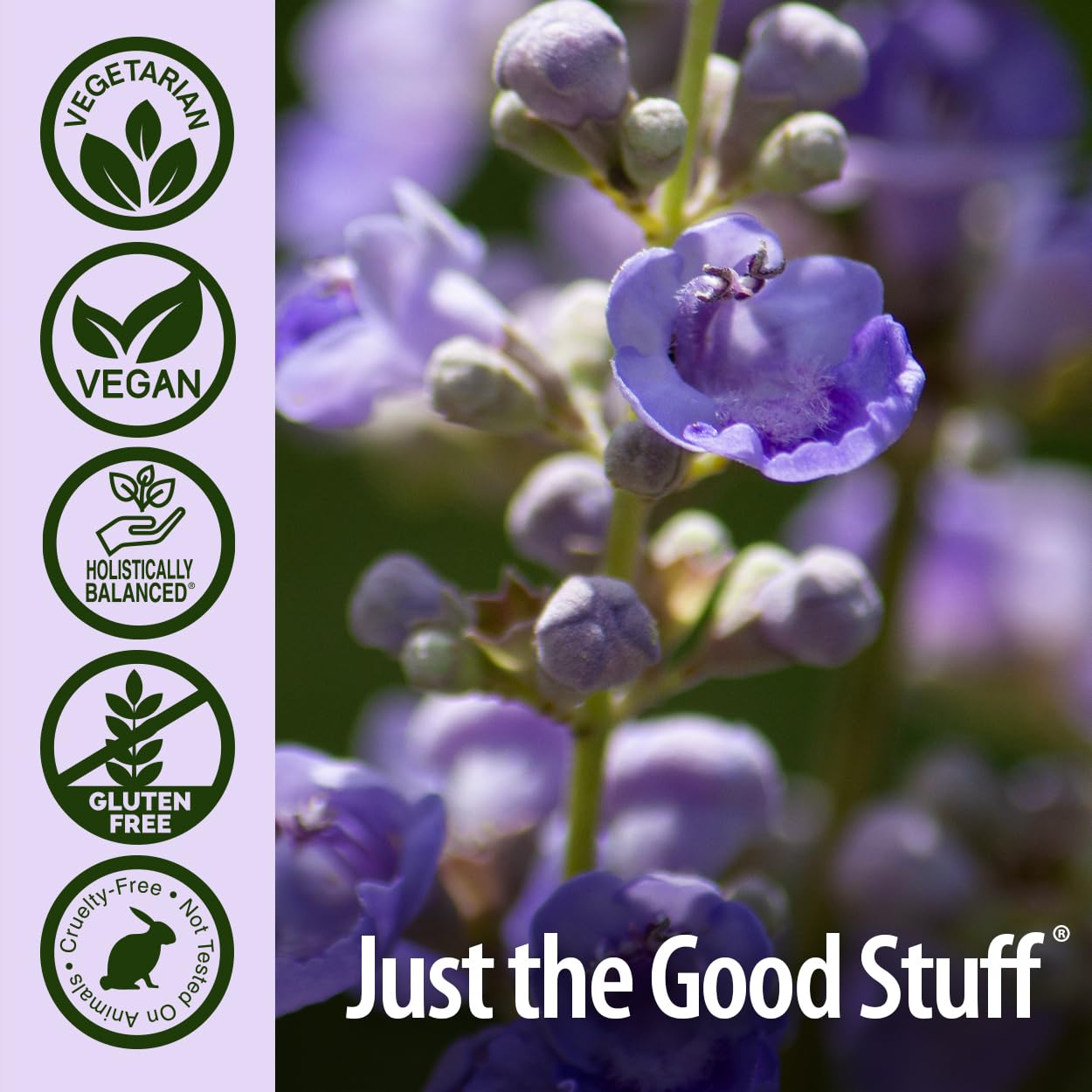 Nature's Answer chasteberry for mood enhancement