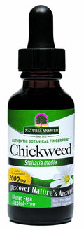 Nature's Answer Chickweed herbal extract